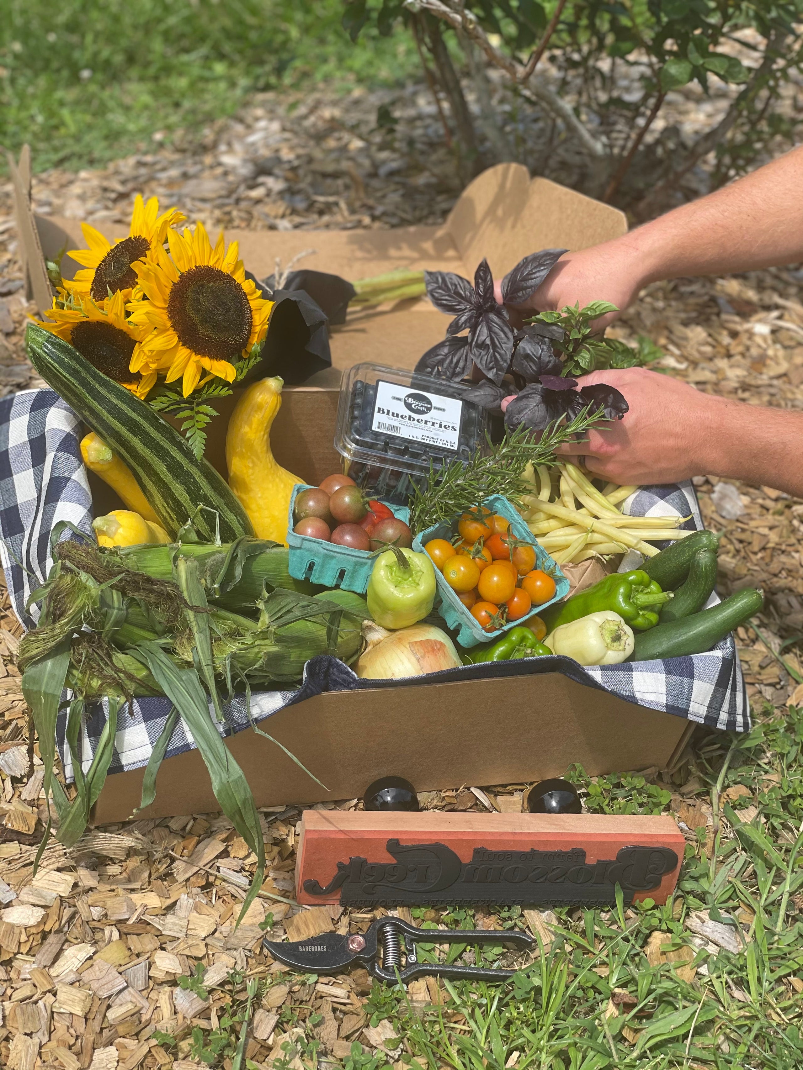 FARM GROWN ASSORTED PRODUCE BOX | BLOSSOM CREEK FARM